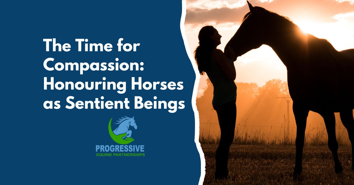 The Time for Compassion: Honouring Horses as Sentient Beings